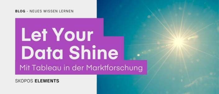 Let Your Data Shine! | SKOPOS ELEMENTS